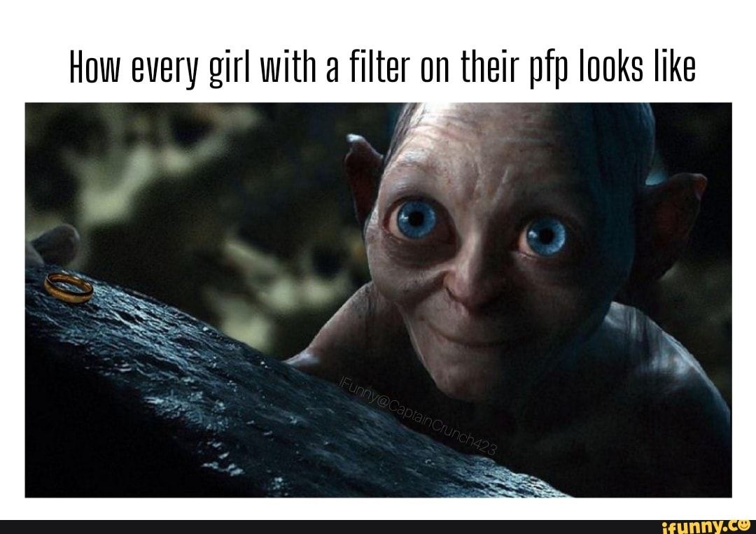 How every girl with filter on their pfp looks like - iFunny
