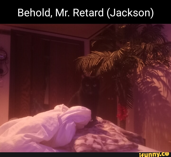 Behold, Mr. Retard (Jackson) - iFunny