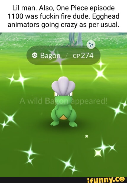 Egghead memes. Best Collection of funny Egghead pictures on iFunny