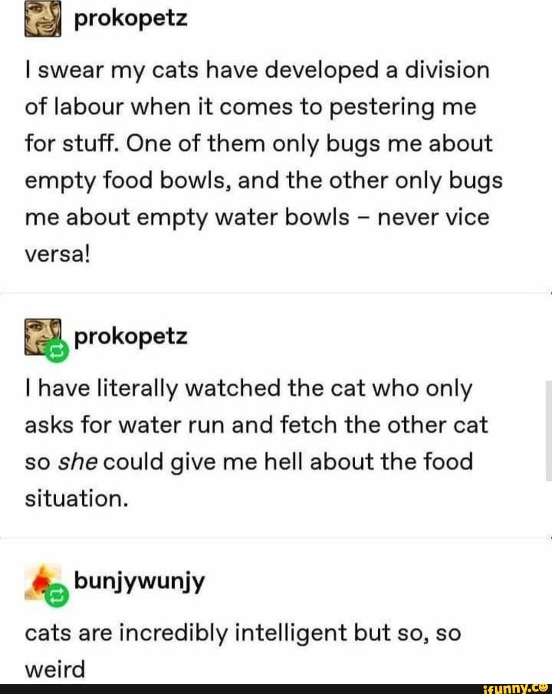 Pestering memes. Best Collection of funny Pestering pictures on iFunny