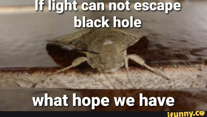 Moth_lamp memes. Best Collection of funny Moth_lamp pictures on iFunny