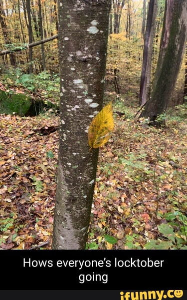 Locktober memes. Best Collection of funny Locktober pictures on iFunny