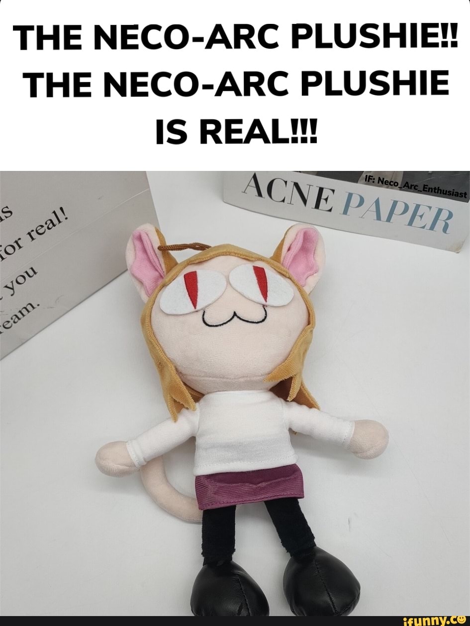 THE NECO-ARC PLUS THE NECO-ARC PLUSHIE IS REAL!!! ACNE PP VE . - iFunny