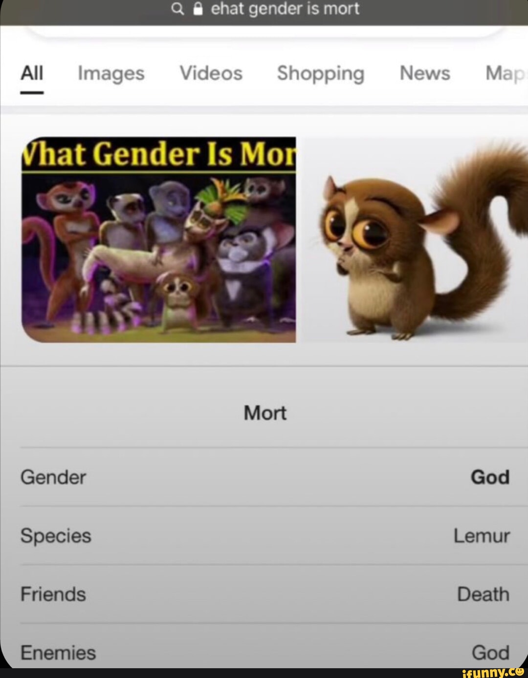 Lemur Meme Chill Out