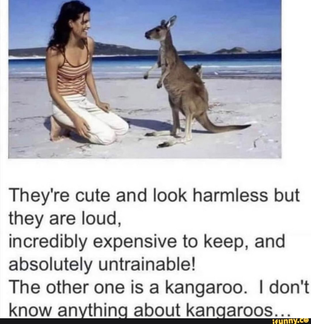 They're cute and look harmless but they are loud, incredibly expensive ...