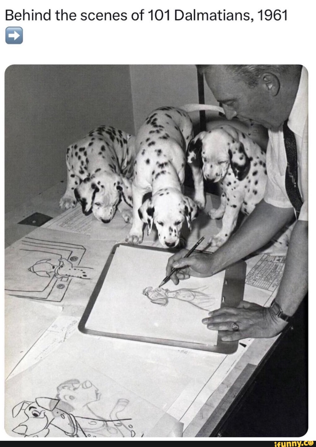 Behind the scenes of 101 Dalmatians, 1961 - iFunny