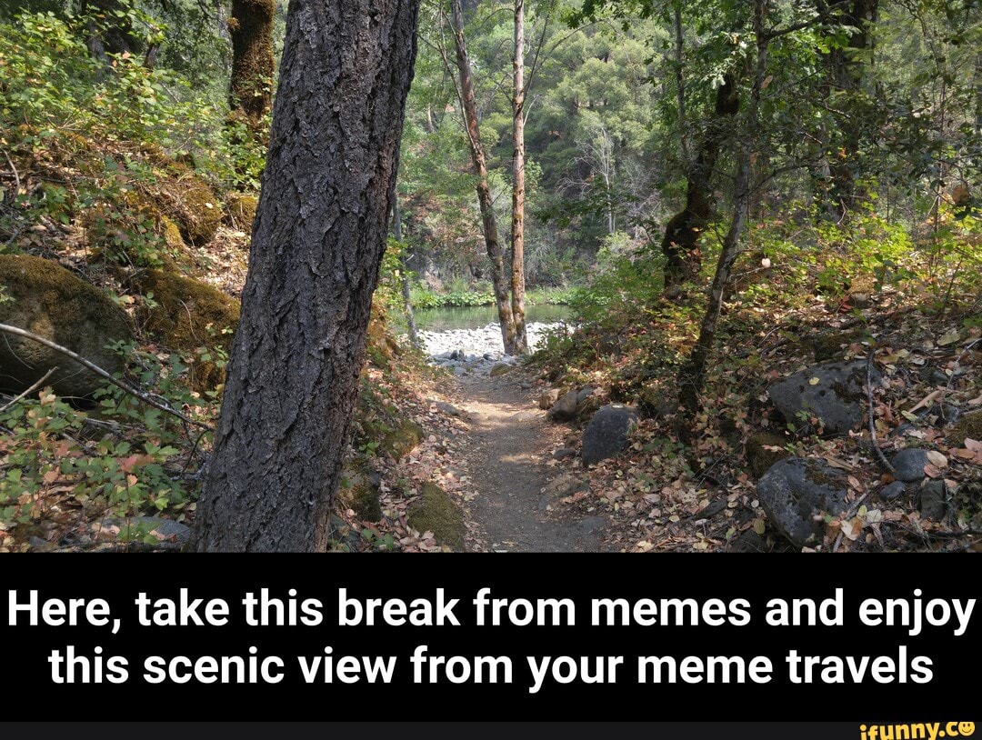 Here, take this break from memes and enjoy this scenic view from your ...