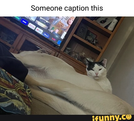 Someone caption this - iFunny