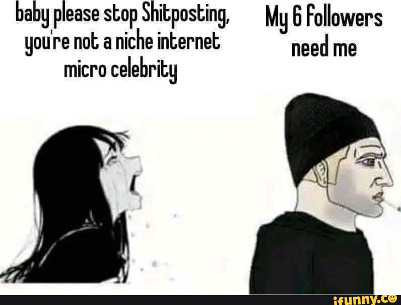 Baby please stop Shitposting, My Followers youre not a niche internet ...