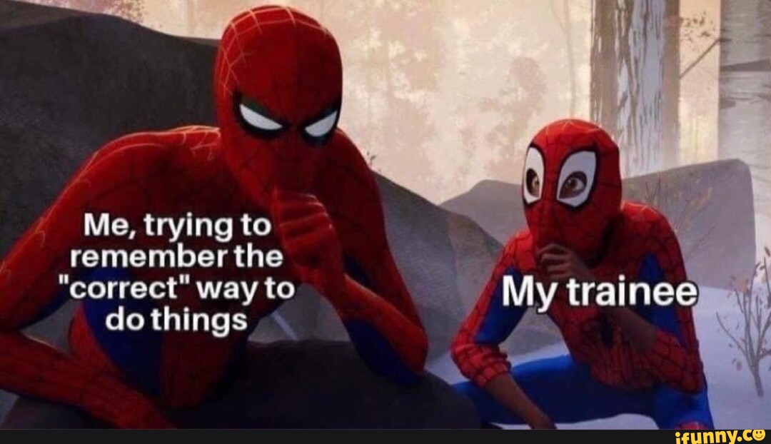 Me, trying to remember the "correct" way to do things trainee - iFunny