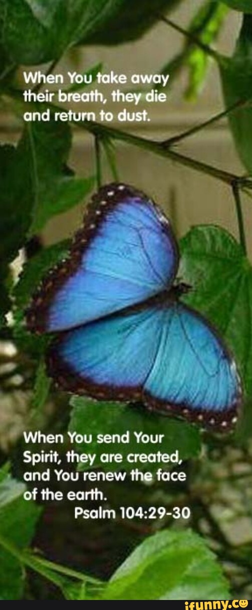 When You take away their breath, they die and return to dust. When You ...