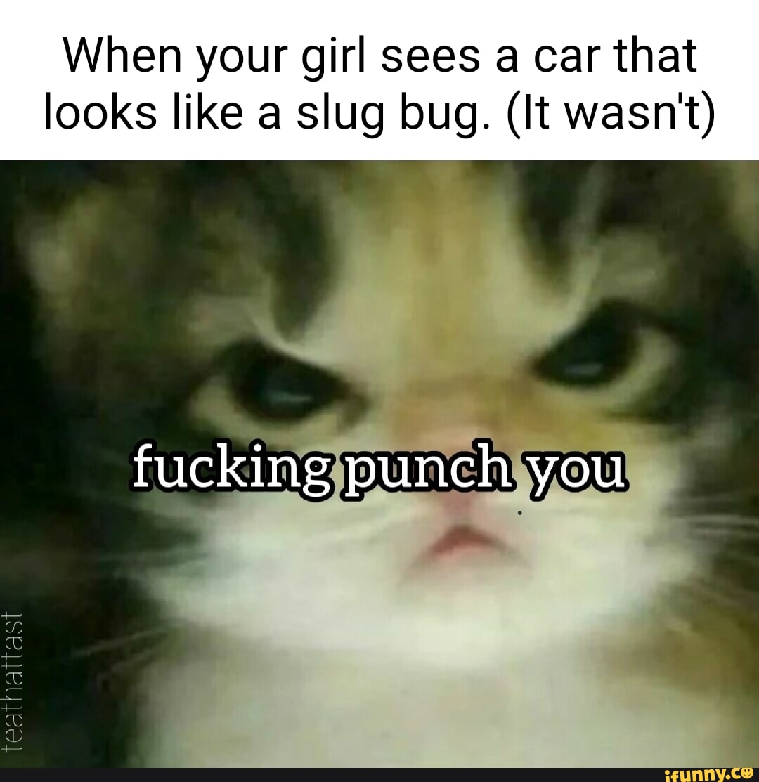 When your girl sees a car that looks like a slug bug. (It wasn't ...