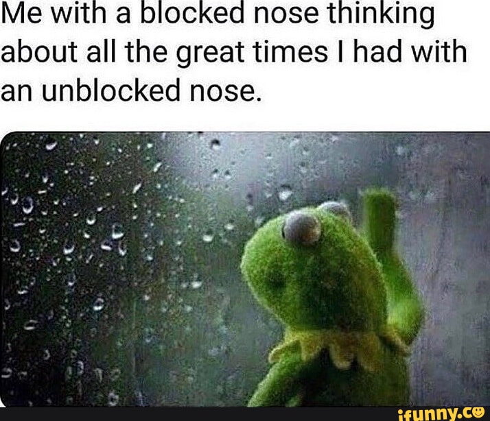 Elmo (the puppet) is the only non- human to ever testify before the U.S ...