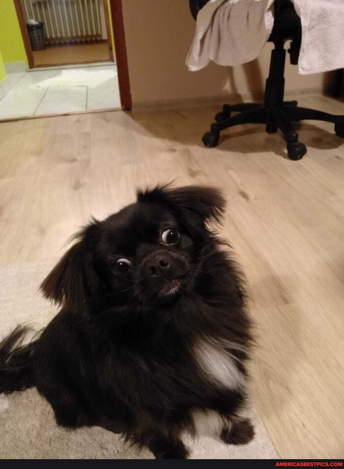 Doofy memes. Best Collection of funny Doofy pictures on America’s best ...