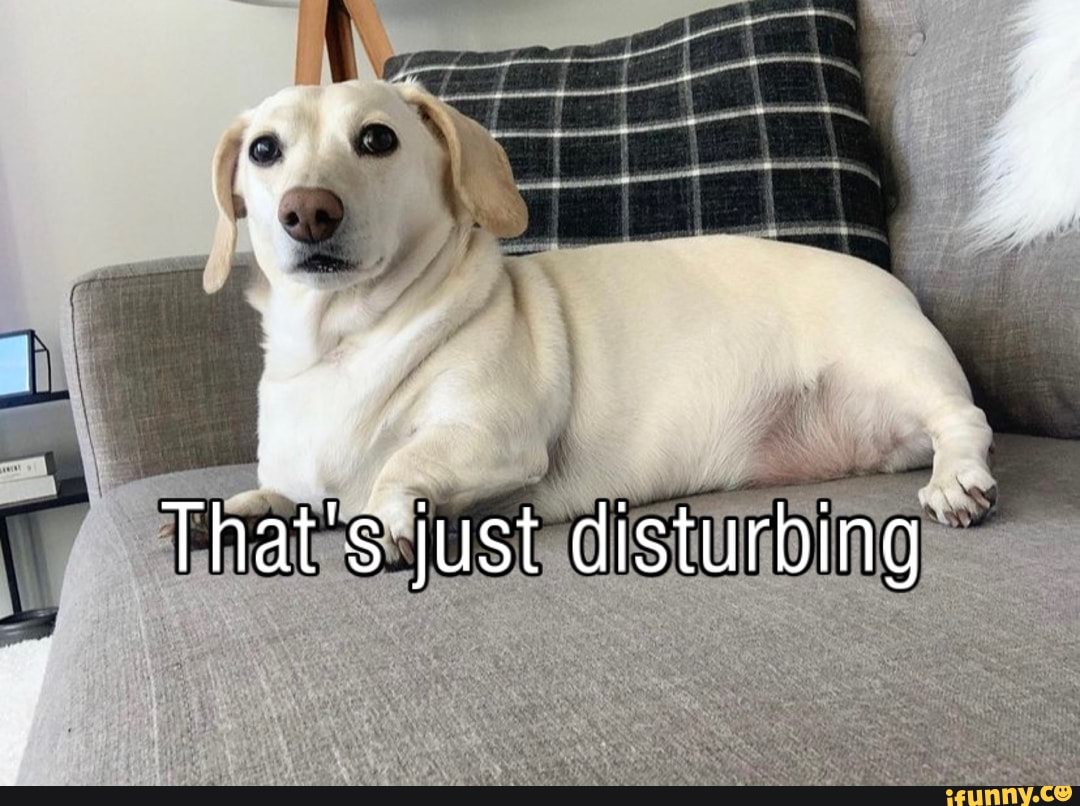 Whitney_chewston memes. Best Collection of funny Whitney_chewston ...