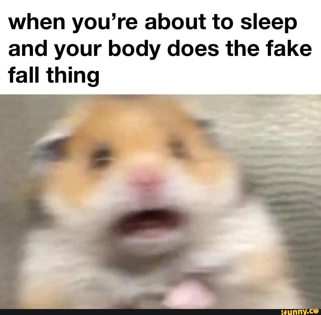 Sleep memes. Best Collection of funny Sleep pictures on iFunny