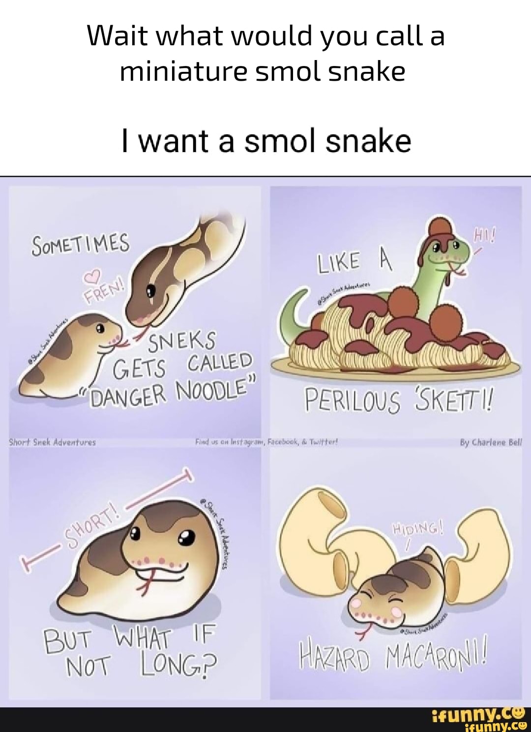 Wait what would you calla miniature smol snake I want a smol snake \MES GETS CALLED CCL. "ANGER ...