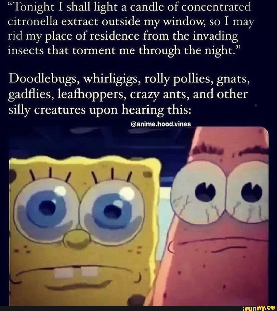 Gnats memes. Best Collection of funny Gnats pictures on iFunny