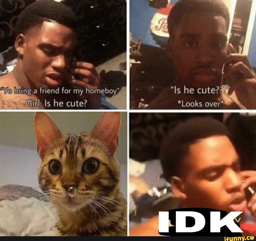 "Is he cute?% *Looks over* OlBring a friend for my homeboy ls he cute ...