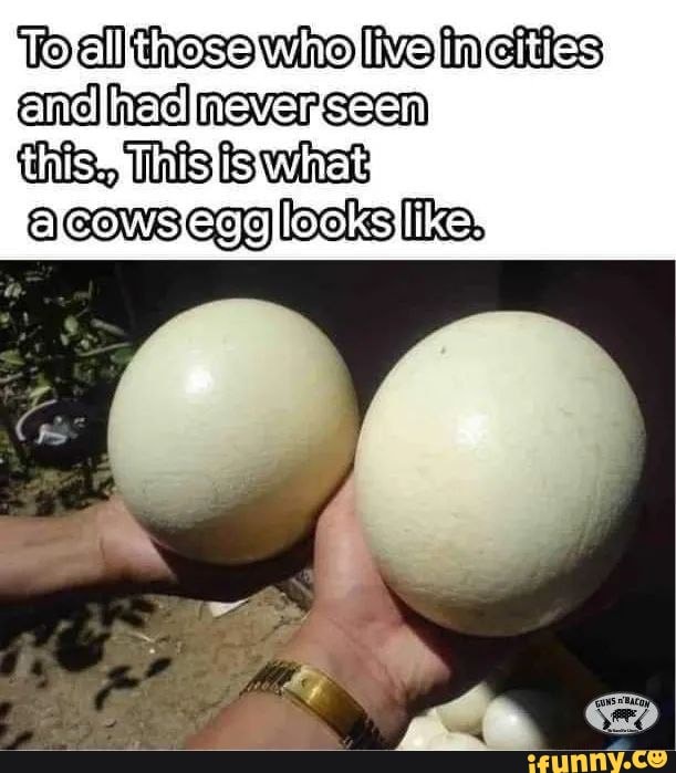 Cityslickers memes. Best Collection of funny Cityslickers pictures on ...