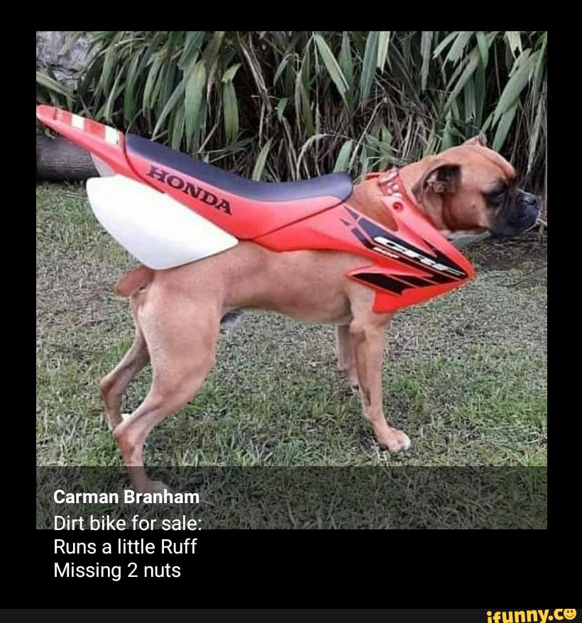 Honda Dirt Bike Memes