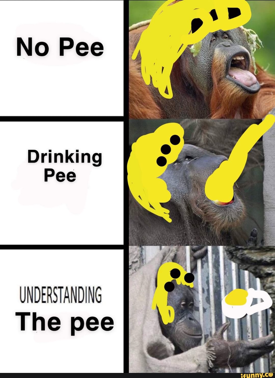Drinking Pee UNDERSTANDING The pee - iFunny