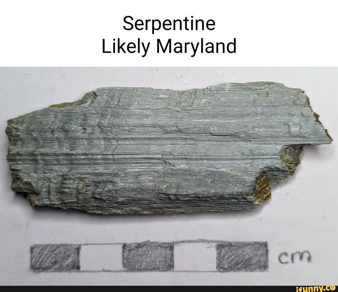 Serpentine memes. Best Collection of funny Serpentine pictures on iFunny