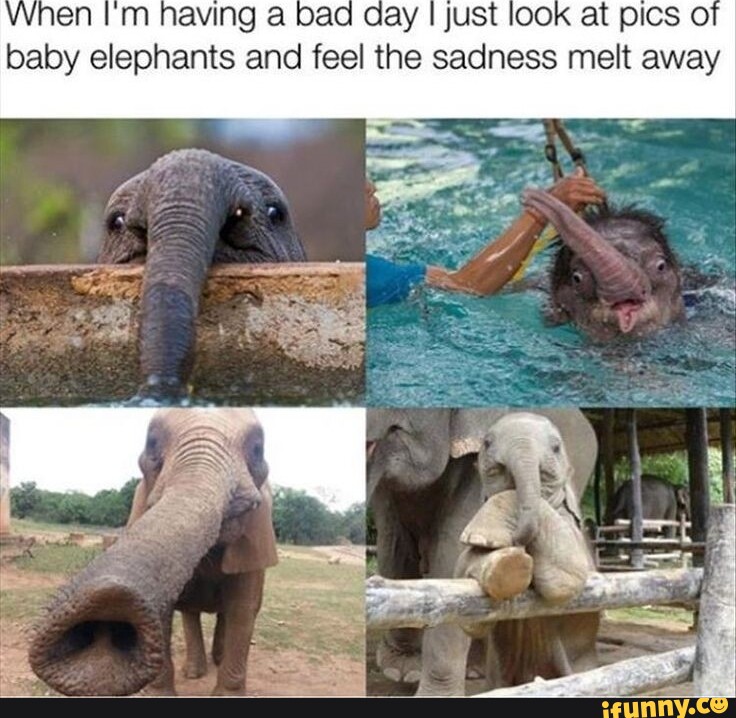 Me on the first day of school vs me on the last day of school - iFunny