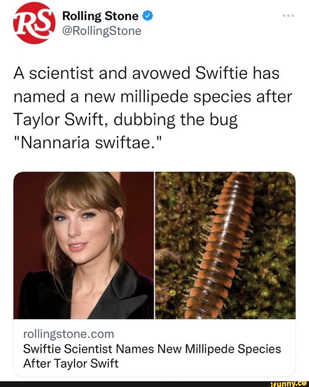 Nannaria memes. Best Collection of funny Nannaria pictures on iFunny