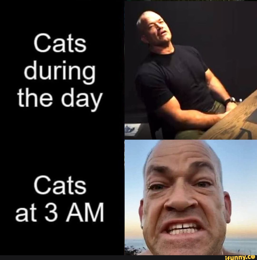 Jocko memes. Best Collection of funny Jocko pictures on iFunny