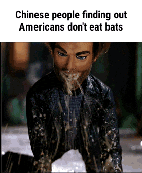 Chinese people finding out Americans dont eat bats - iFunny