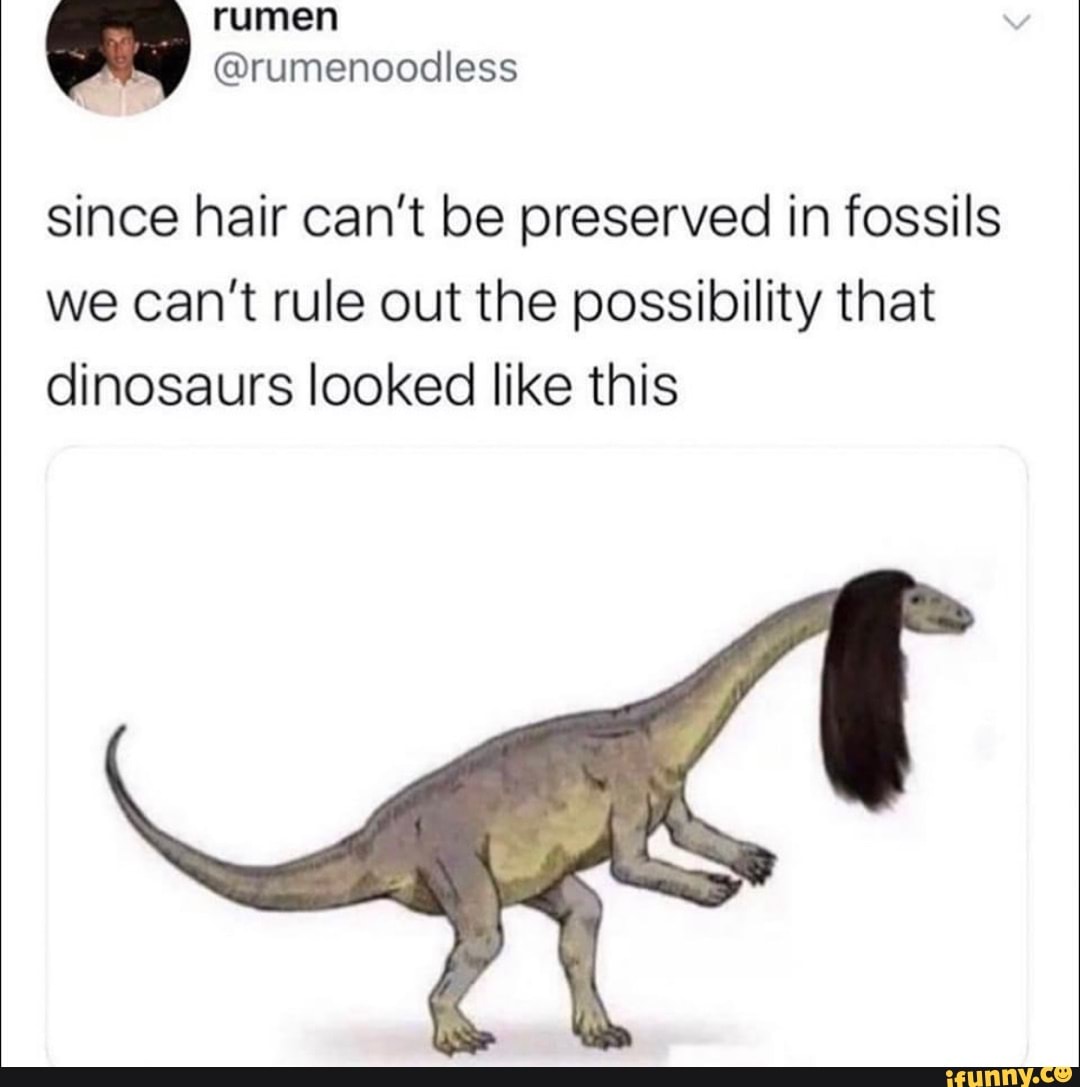 Fossils memes. Best Collection of funny Fossils pictures on iFunny