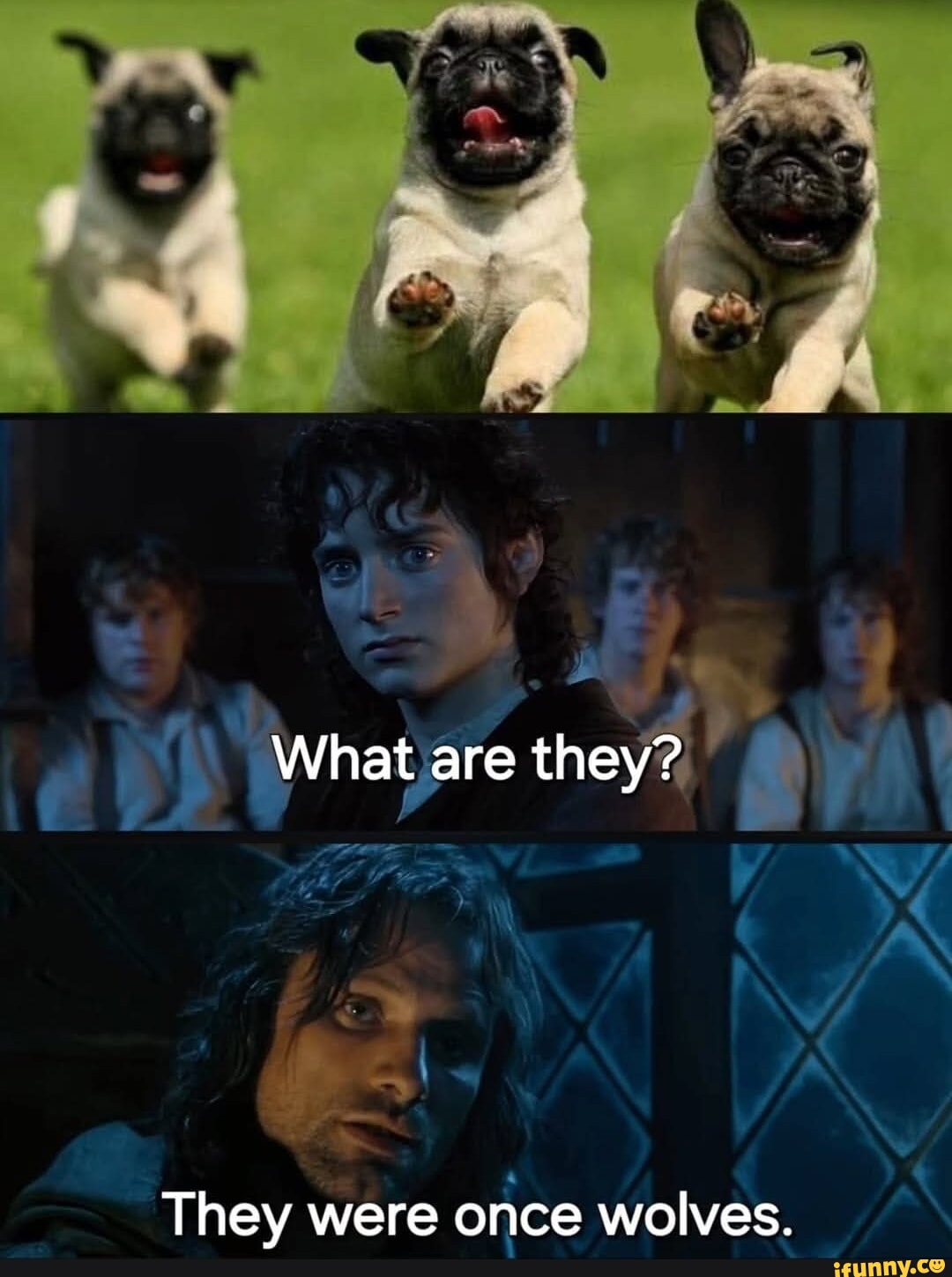 What are they? They were once wolves. - iFunny