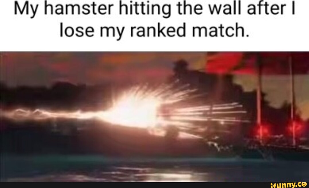 Hamster memes. Best Collection of funny Hamster pictures on iFunny