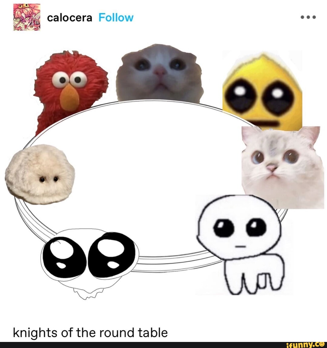Calocera Follow knights of the round table - iFunny