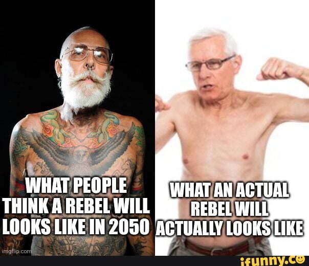 Peacocking memes. Best Collection of funny Peacocking pictures on iFunny