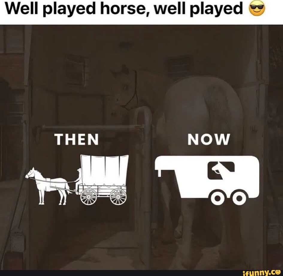 Well played horse, well played THEN NOW - iFunny