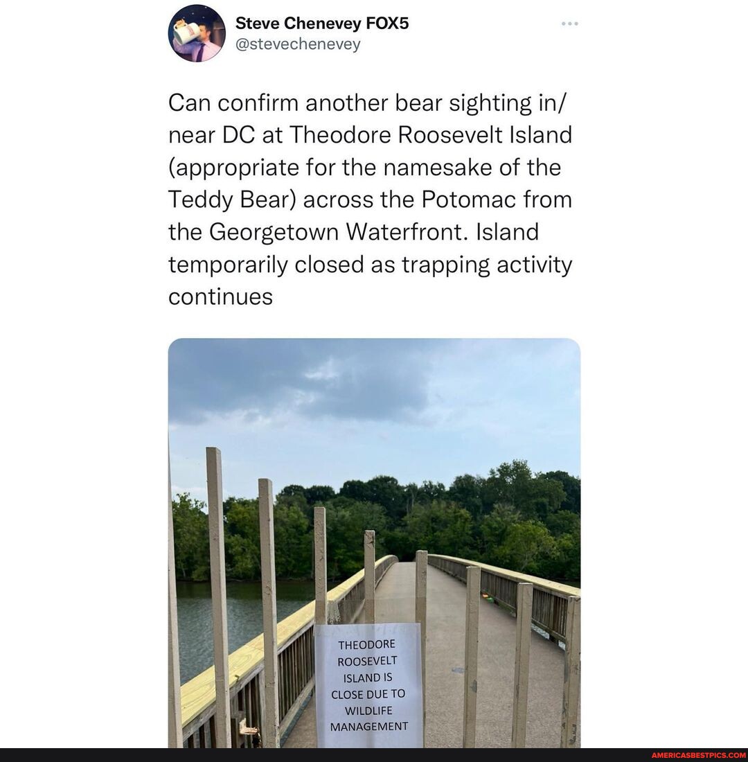 FYI - Steve Chenevey Can confirm another bear sighting in/ near DC at ...