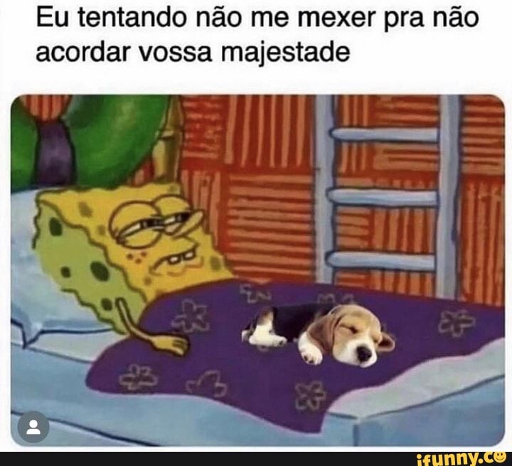 Desse jeito 😆😆 … #memescaes #amocaes #cachorrosfofos #amorde4patas # ...