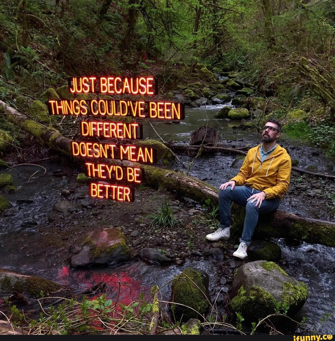 Not High Enough For Th Relentless Twattery - iFunny