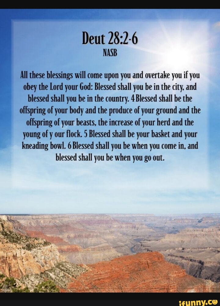 Overtake memes. Best Collection of funny Overtake pictures on iFunny