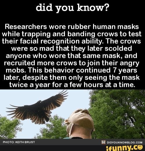 Did you know? Researchers wore rubber human masks while trapping and ...