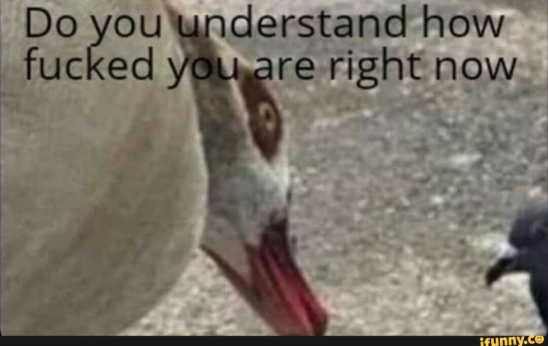 Derstand memes. Best Collection of funny Derstand pictures on iFunny