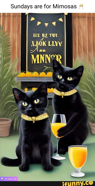 Mimosas memes. Best Collection of funny Mimosas pictures on iFunny