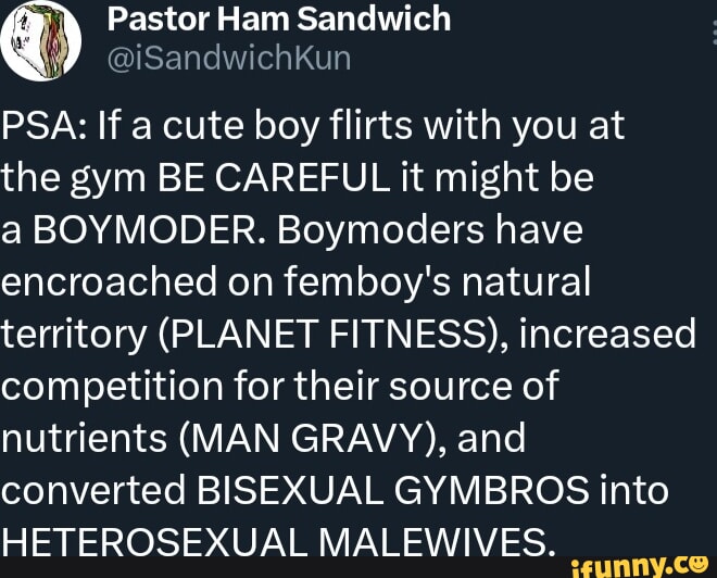 Boymoders memes. Best Collection of funny Boymoders pictures on iFunny