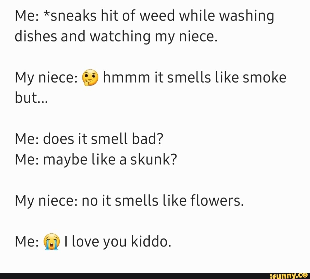 Me: *sneaks hit of weed while washing dishes and watching my niece. My niece: hmmm it smells ...