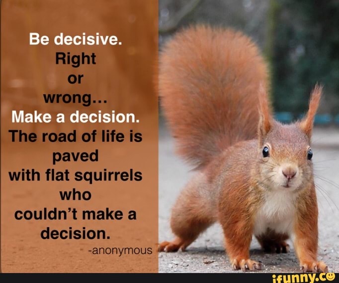 Be decisive. "Make a decision. with flat squirrels who couldn't make a ...