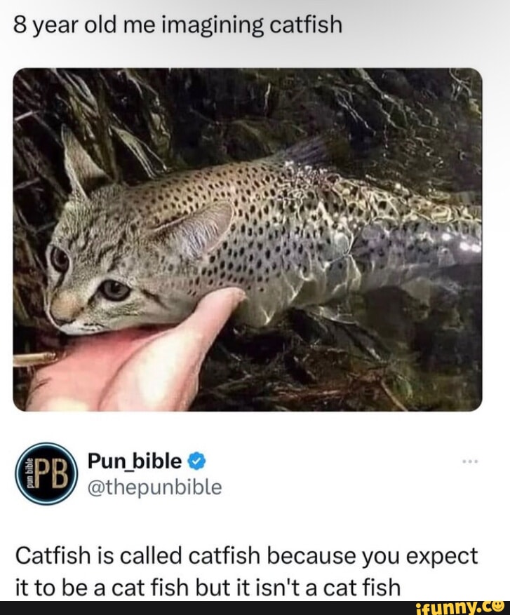 8 year old me imagining catfish Pun bible @ @thepunbible Catfish is ...