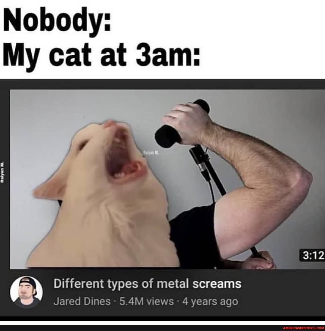 Nobody: My cat at Different types of metal screams Jared Dines 5.4M ...