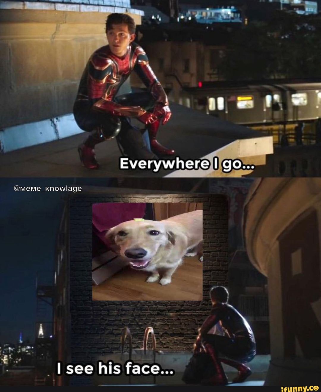 Everywhere I go... @meme knowlage see his face... - iFunny